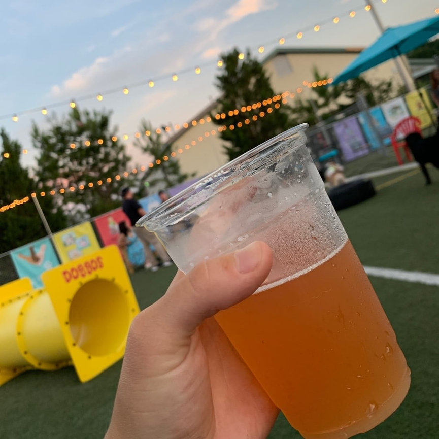 Drinktender - Doggos Dog Park and Pub